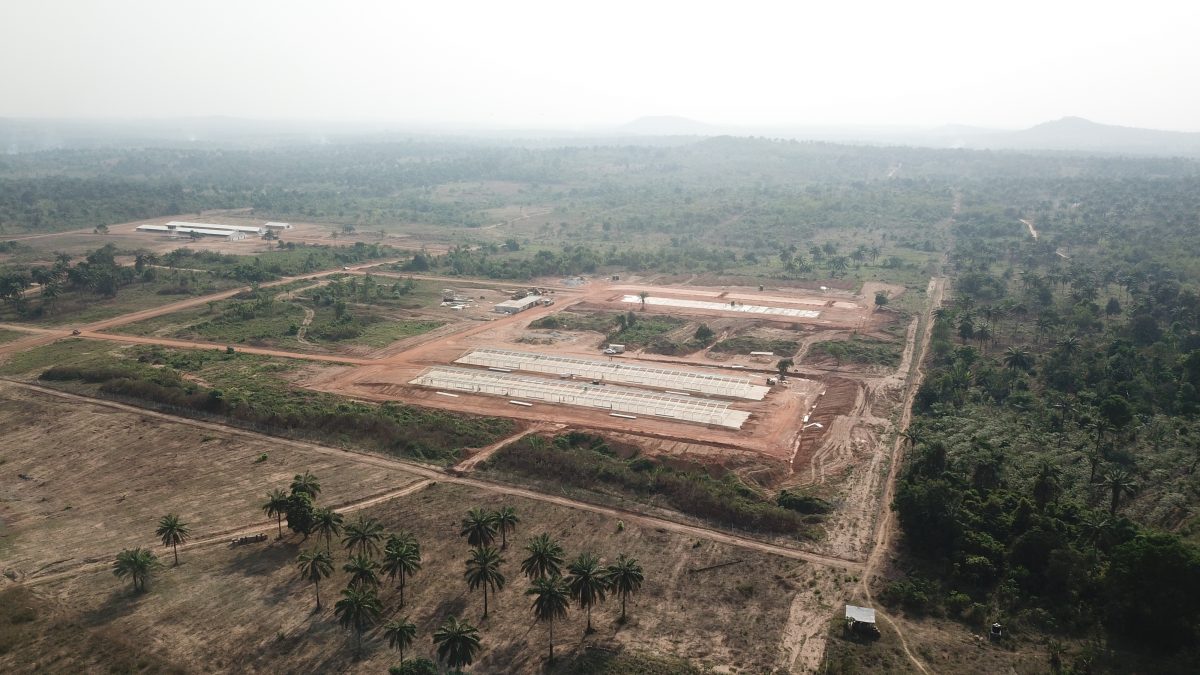 Africa Archives - Agrotop