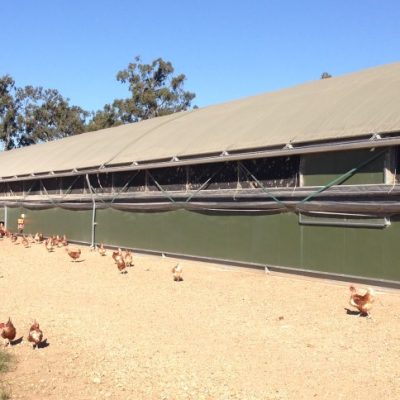 Mobile Free Range Poultry Farm Houses - Solutions - Agrotop