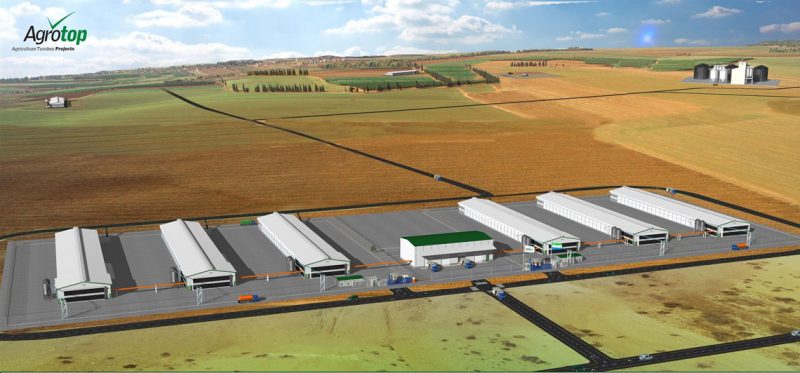 Poultry Farming Business News – Press Releases - Agrotop