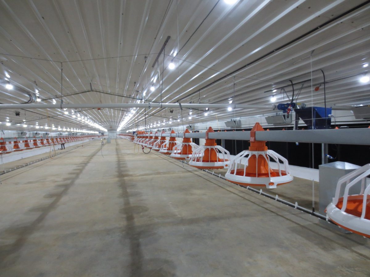 Poultry Farming Business News – Press Releases - Agrotop