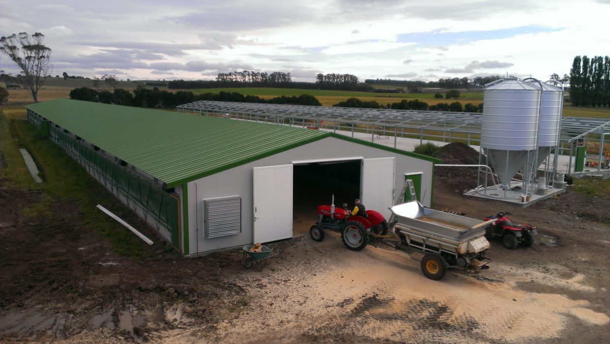 Poultry Farming Business News – Press Releases - Agrotop